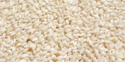 DOVE si coltiva il riso in Italia e nel mondo FACILEeBUONO